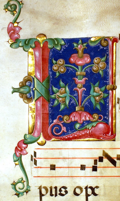 Medieval Illuminated Manuscripts - Charles Edwin Puckett